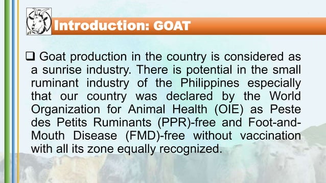 Goat or Sheep Production and Management.pptx