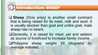 Goat or Sheep Production and Management.pptx