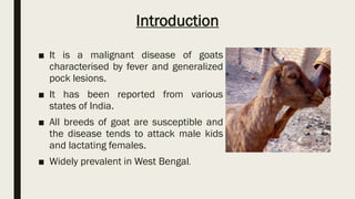Goat Pox.pdf