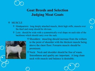 GOAT_And thier uses and characteristics .ppt
