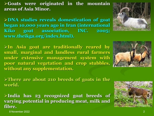 goat production.pptx | Pets