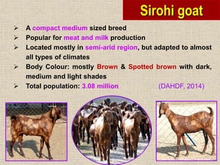 Goat production in India: an overview | PPT