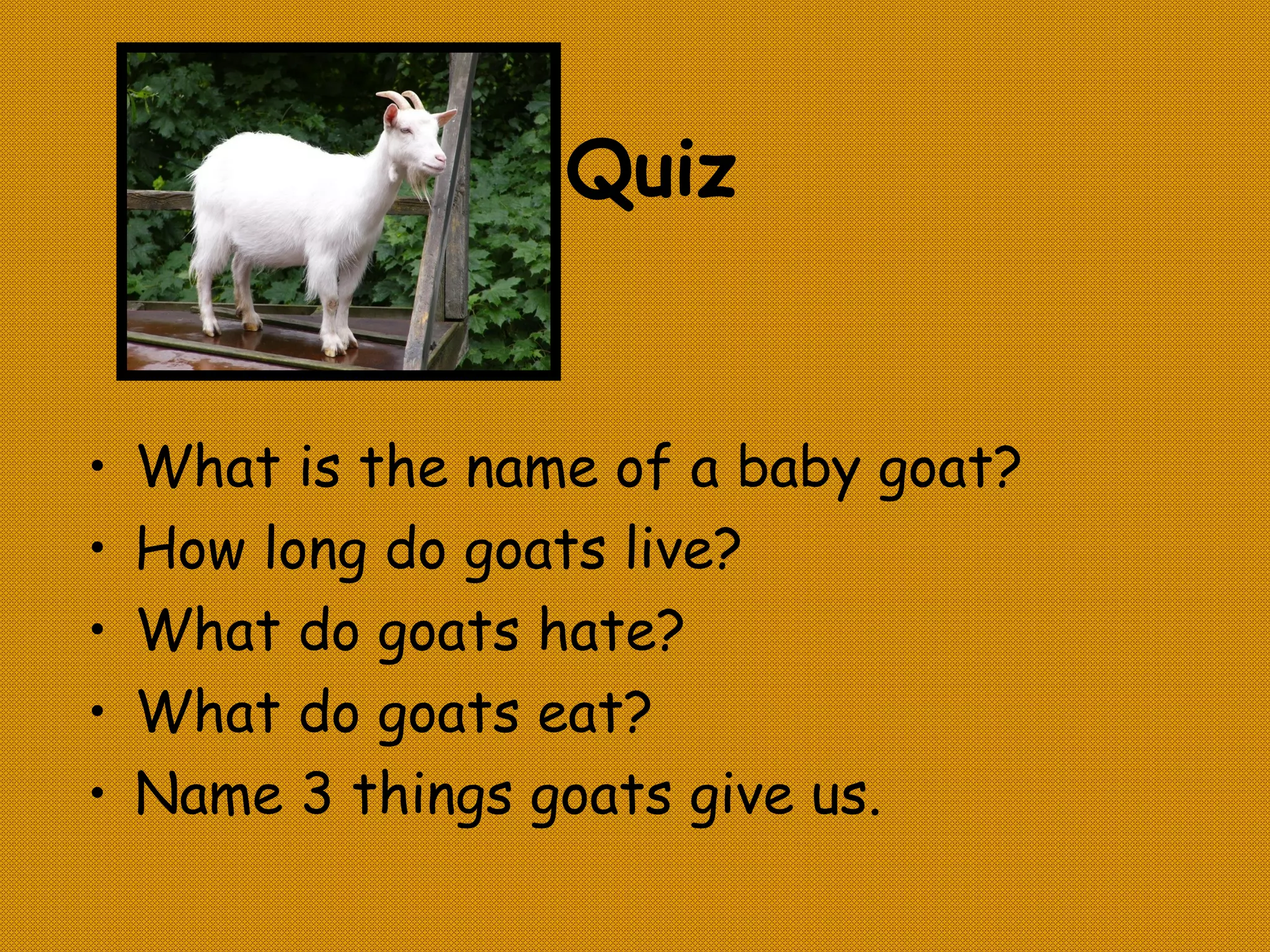 Goats facts | PPT