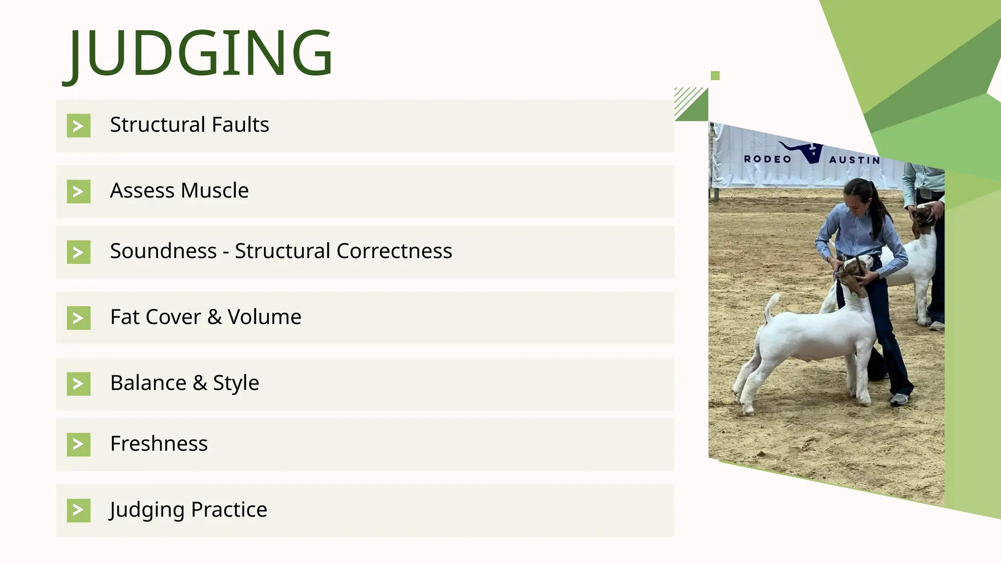 Meat Market Goat Structure Presentation.pptx