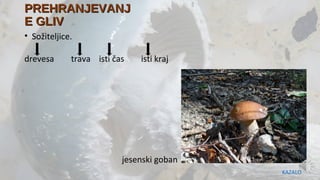 Gobe predstavitev.pps