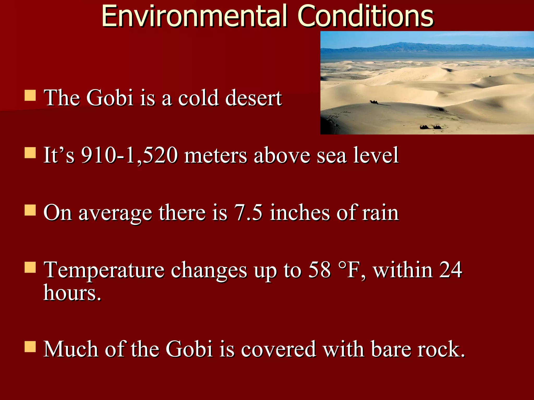 Gobi Desert | PPT