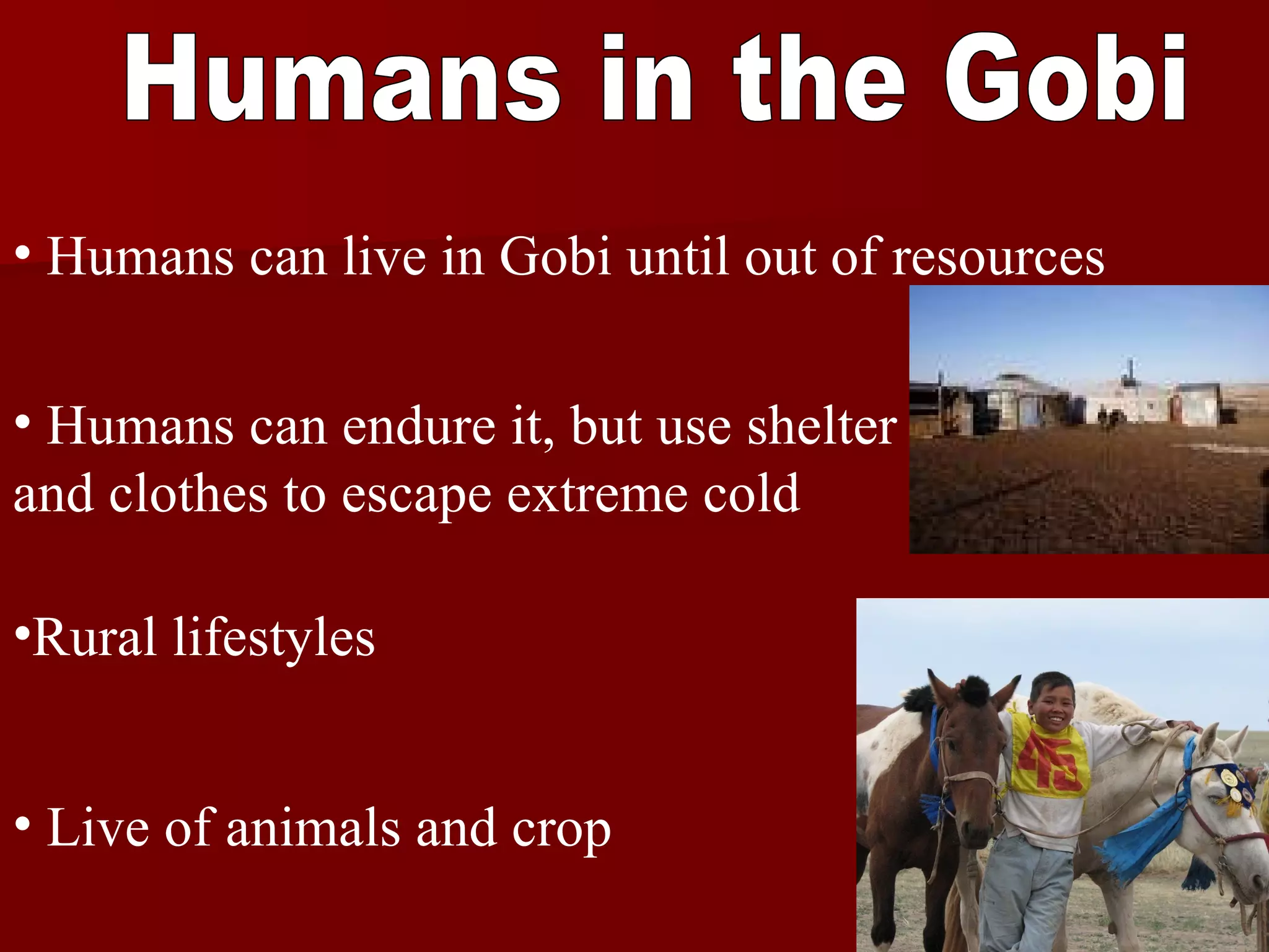 Gobi Desert | PPT