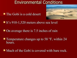 Gobi Desert | PPT