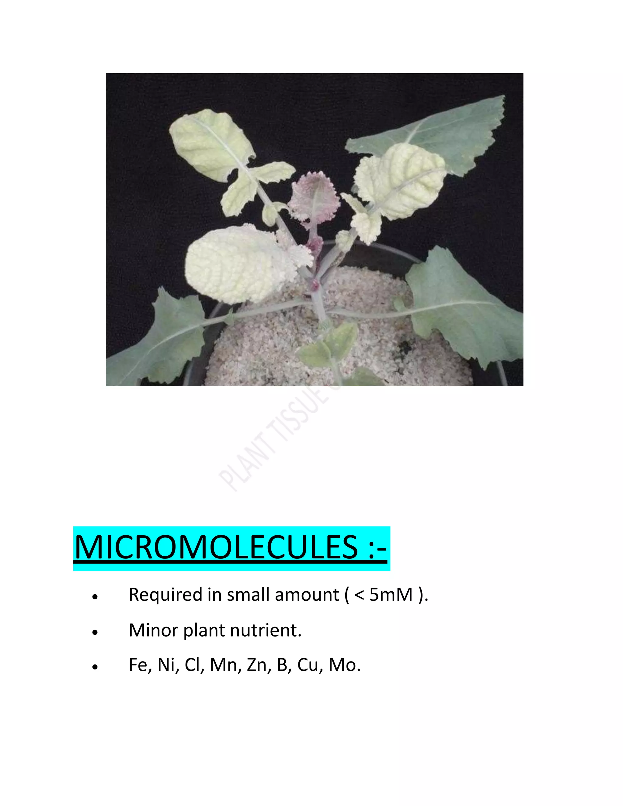 Macro & Macronutrient in plant tissue culture | PPTX