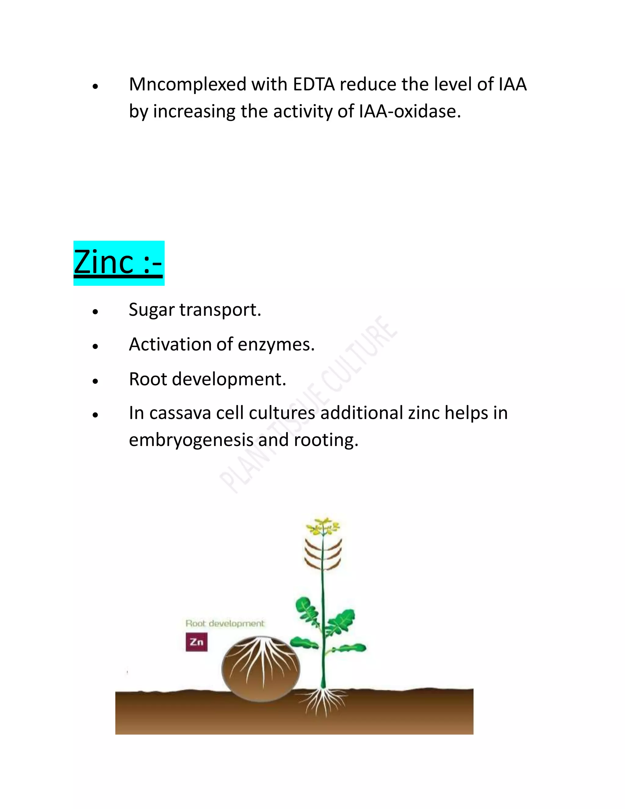 Macro & Macronutrient in plant tissue culture | PPTX