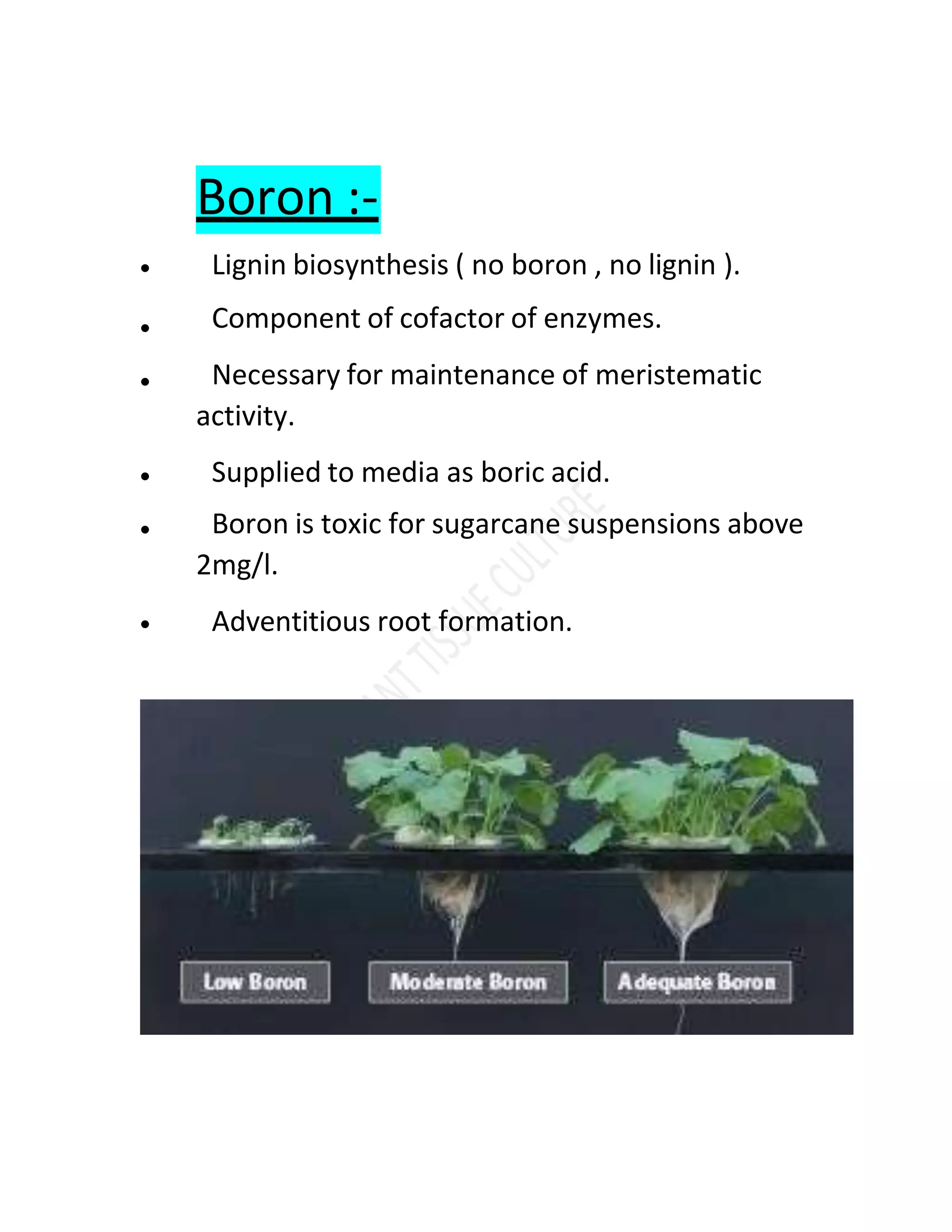 Macro & Macronutrient in plant tissue culture | PPTX