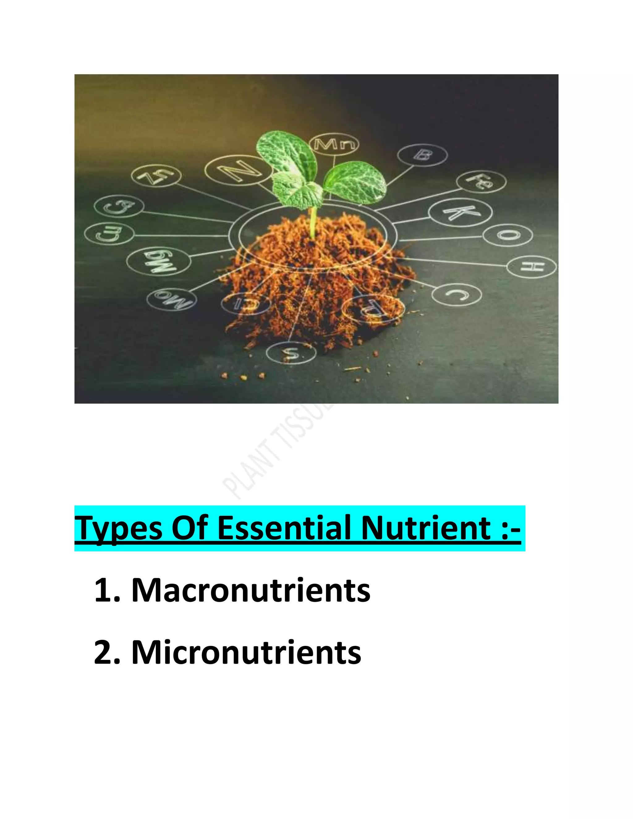 Macro & Macronutrient in plant tissue culture | PPTX