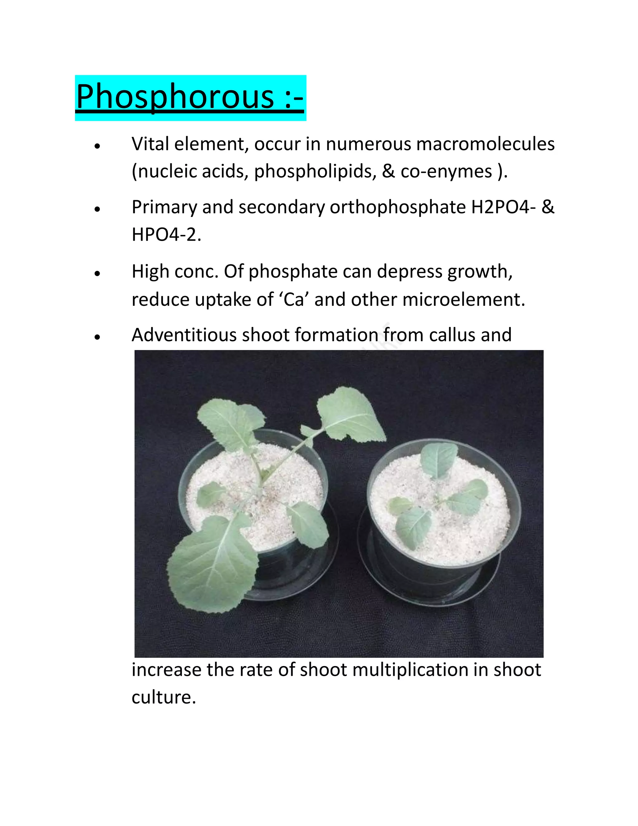 Macro & Macronutrient in plant tissue culture | PPTX
