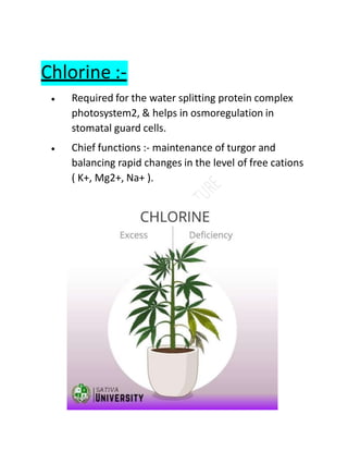 Macro & Macronutrient in plant tissue culture | PPTX