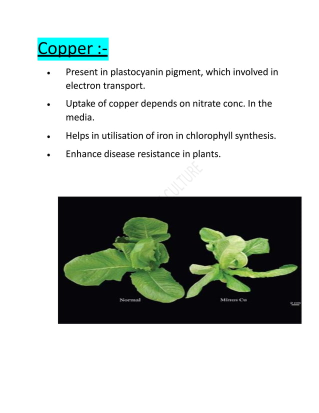 Macro & Macronutrient in plant tissue culture | PPTX