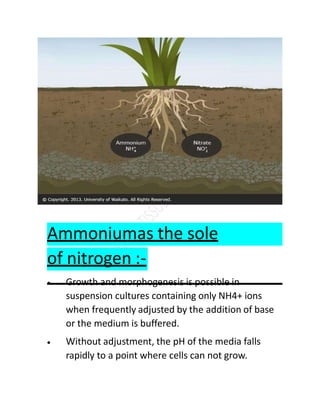 Macro & Macronutrient in plant tissue culture | PPTX