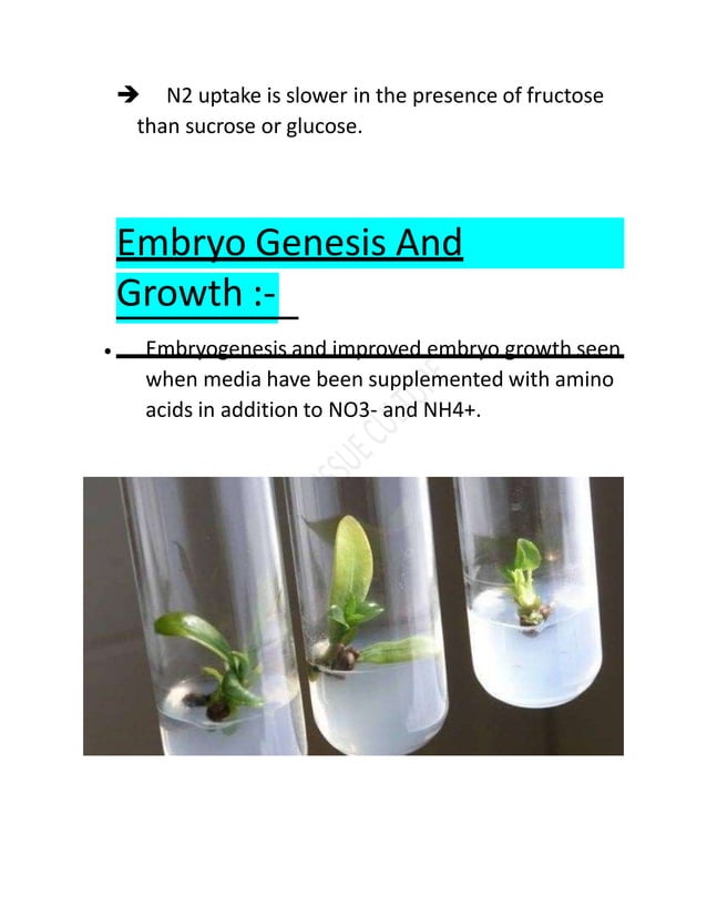 Macro & Macronutrient in plant tissue culture | PPTX