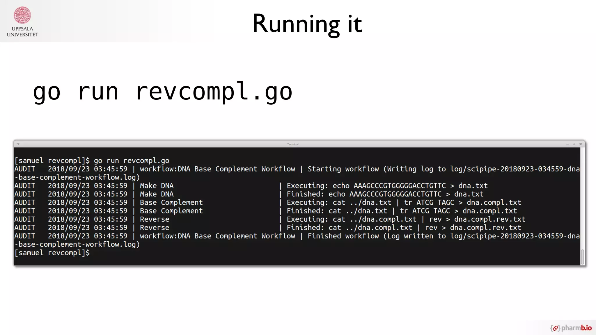 Using Flow Based Programming To Write Tools And Workflows For Scientific Computing In Go Ppt 