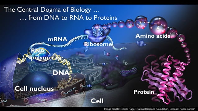 Using Flow-based programming to write tools and workflows for ...