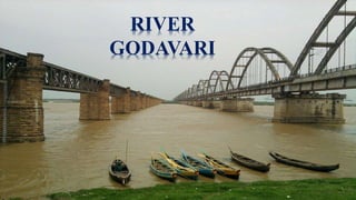 Where Is The Godavari River