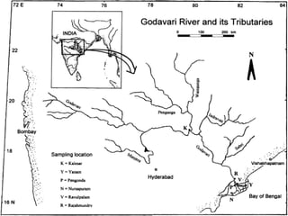 Godavari | PPTX