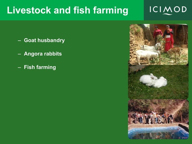 Over view of Knowledge Park at Godavari By Samden Sherpa, ICIMOD | PPTX