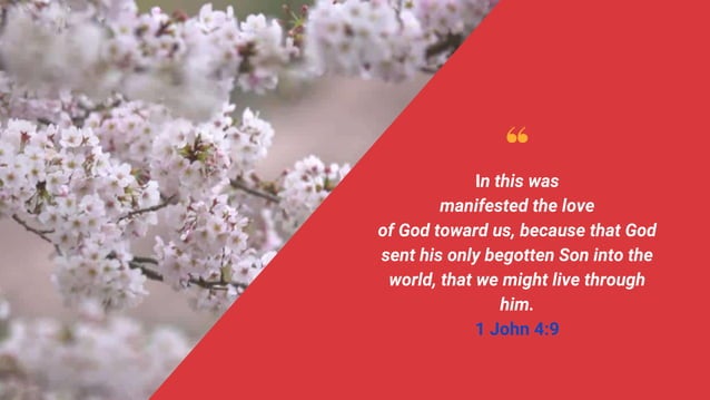 Slideshow: The Great Truth To The World | PPT