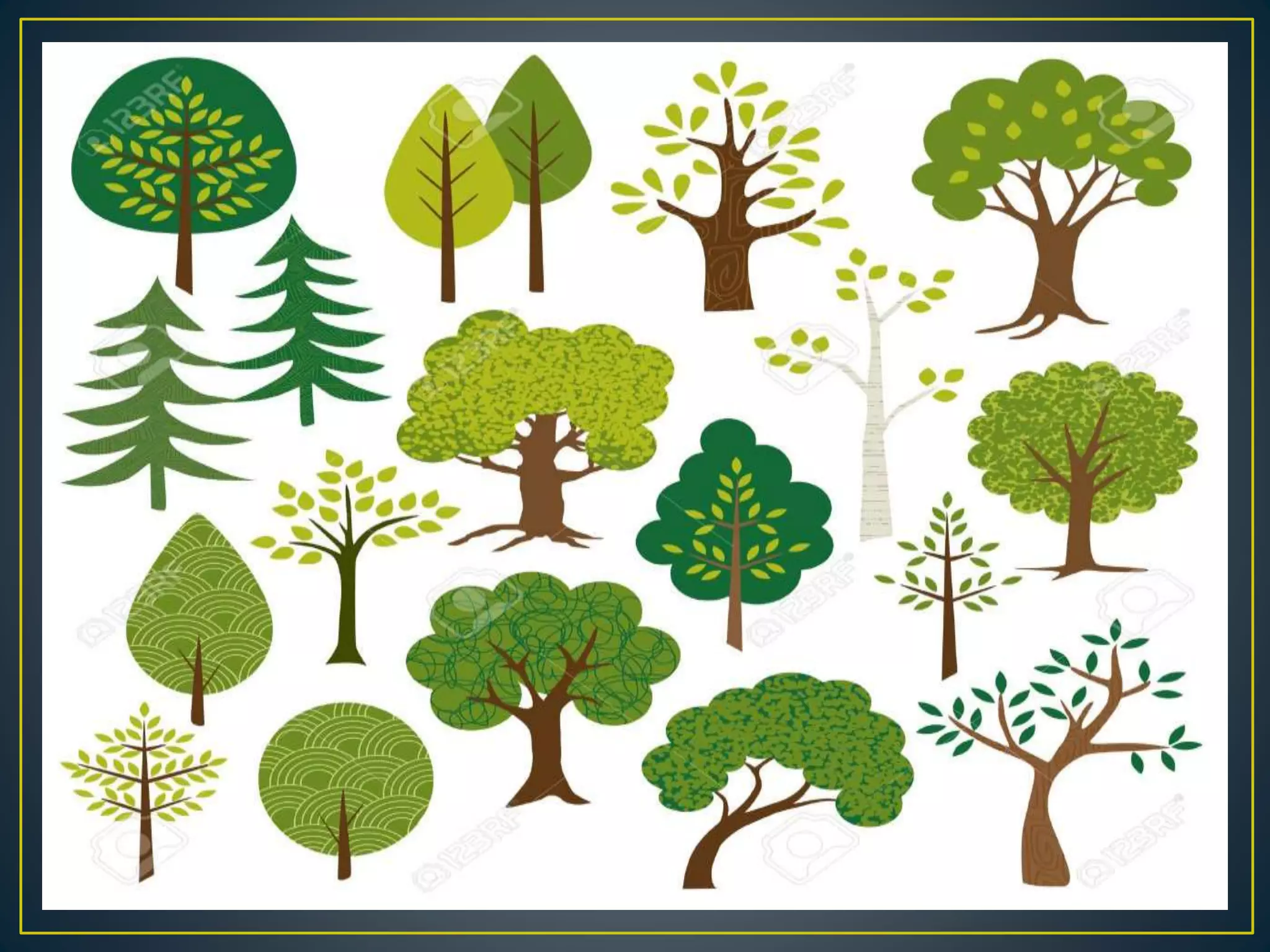 God Made Trees Poem | PPTX