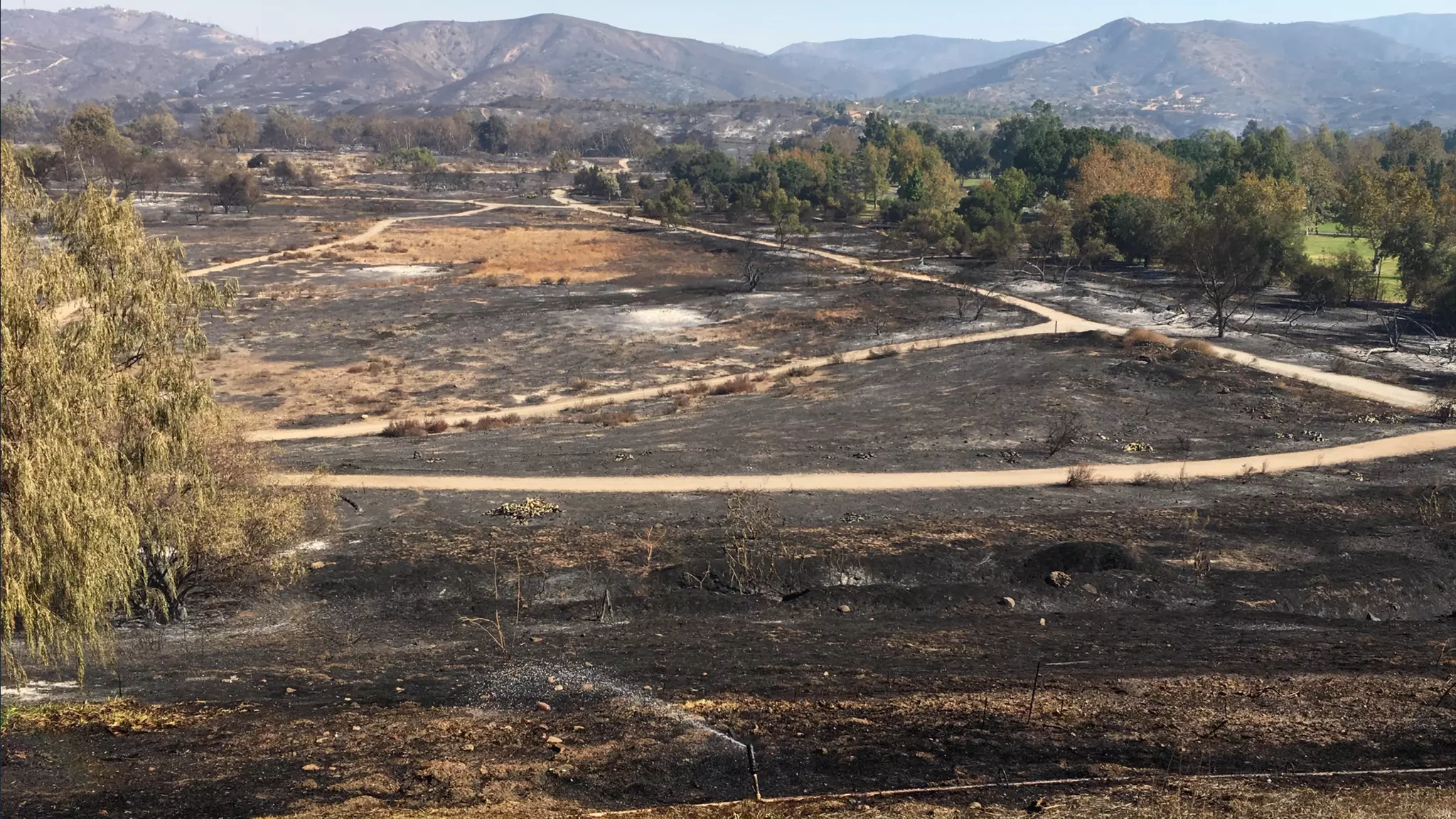 God of restoration | PDF