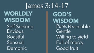 God's attribute of wisdom | PDF