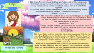 God's creation | PPTX