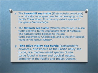 Republic Act 9147 ("Wildlife Resources Conservation and Protection Act ...