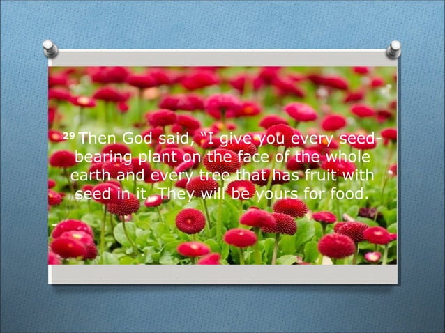 Republic Act 9147 ("Wildlife Resources Conservation and Protection Act ...