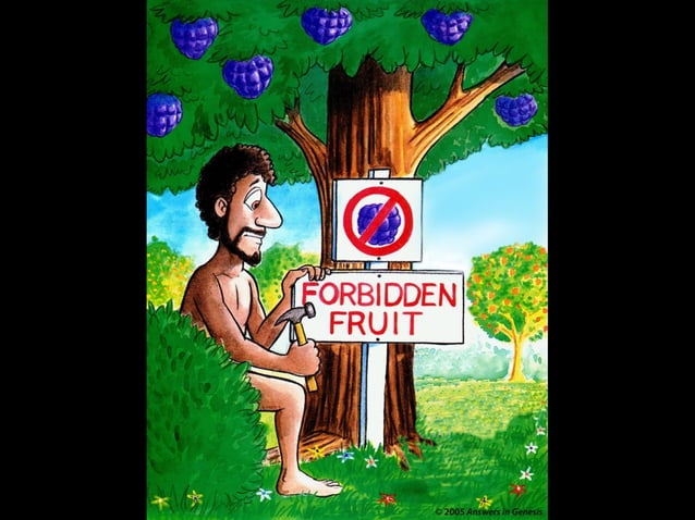 God’S Design For Husbands And Wives | PPT