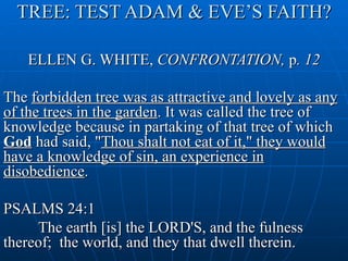 Gods Litmus Test | PPT