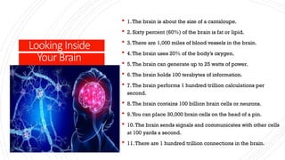 GOD & THE BRAIN PPT SERMON.ppt by Richelyn Espenidax | PPTX