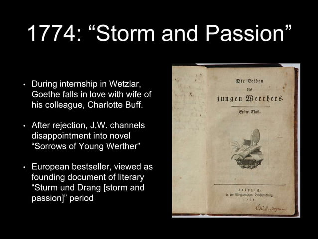 Brief overview of Goethe's Bio | PPTX