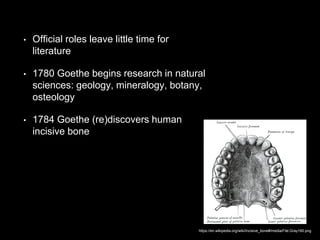 Brief overview of Goethe's Bio | PPTX