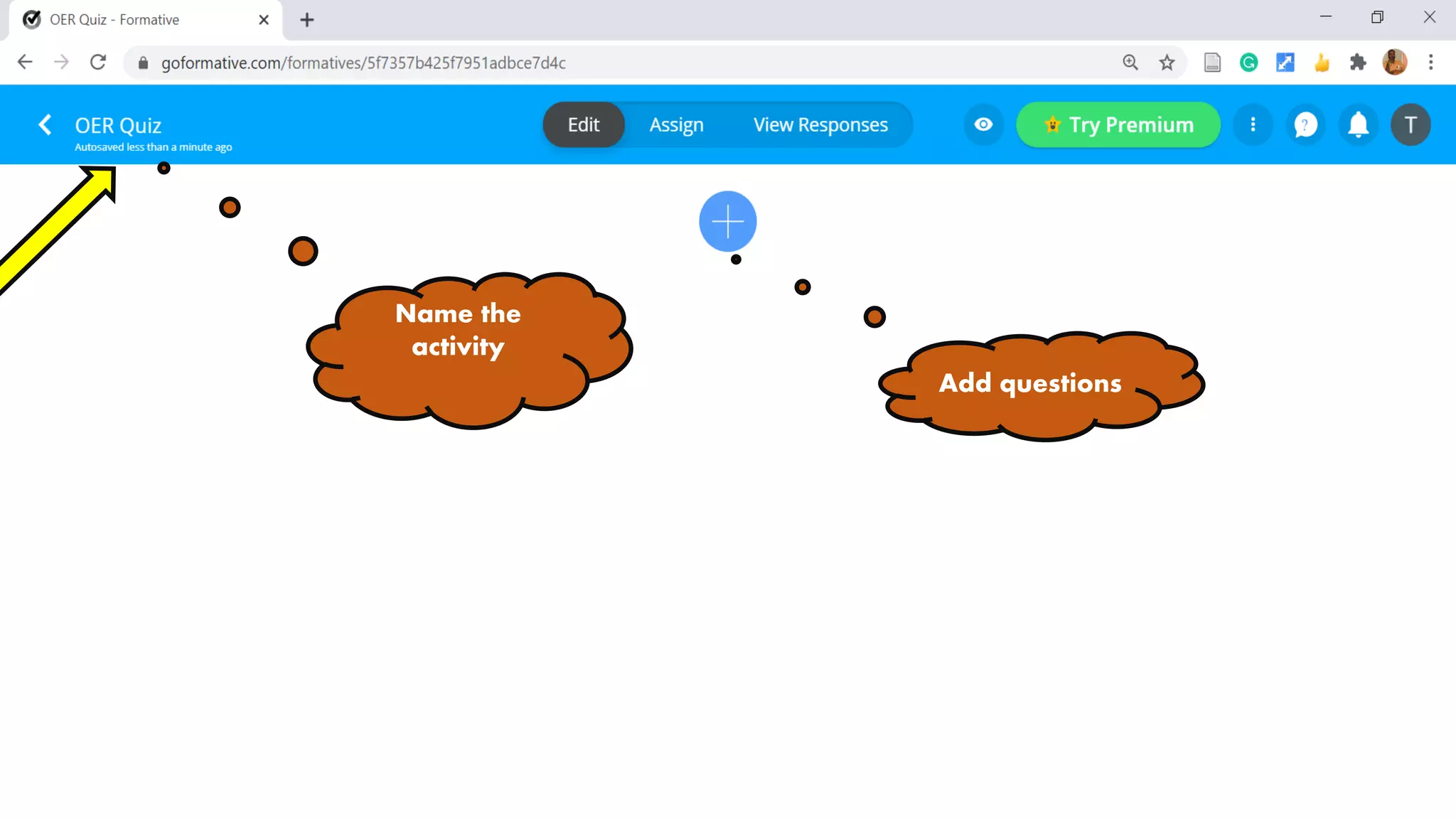 Go formative (Assessment Tool) | PDF