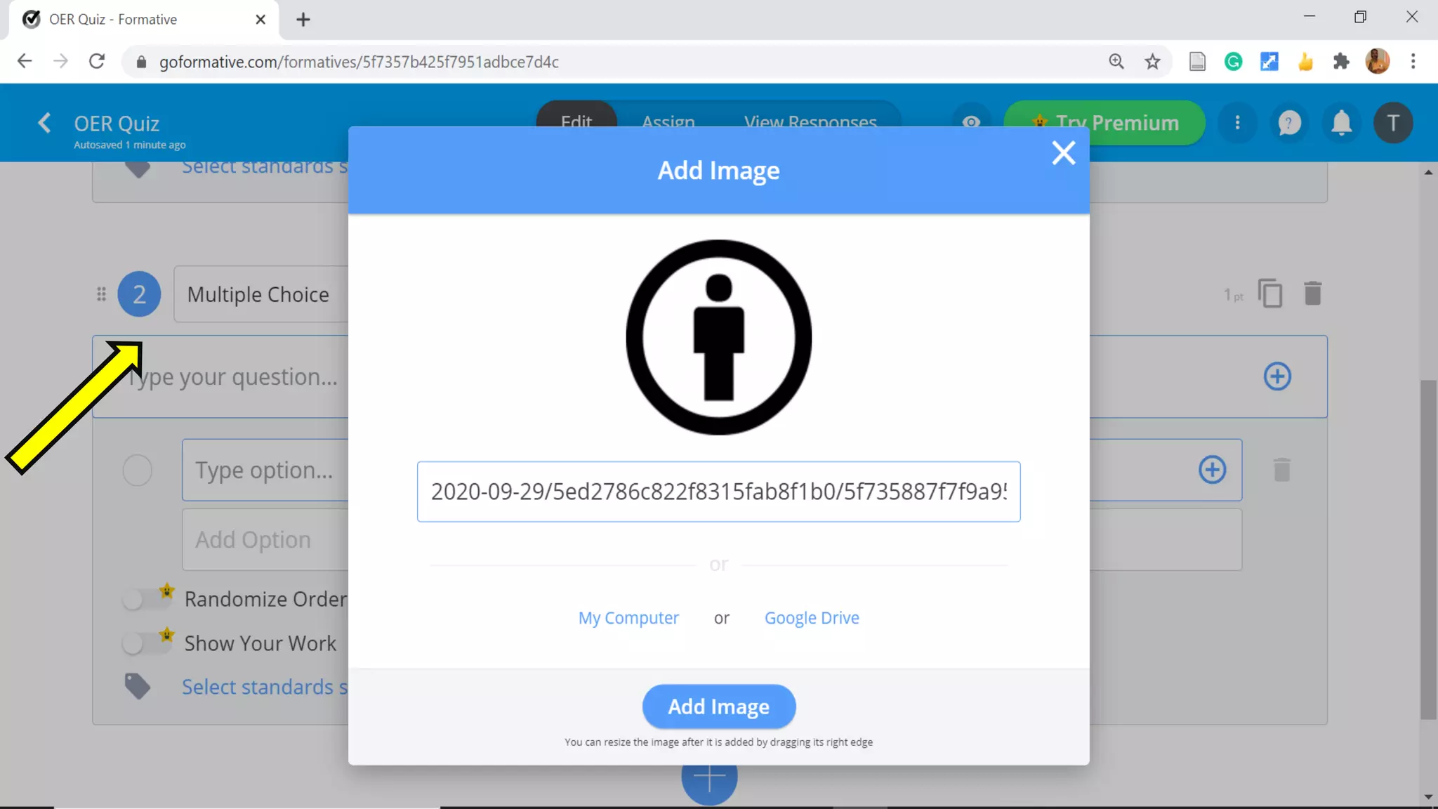 Go formative (Assessment Tool) | PDF