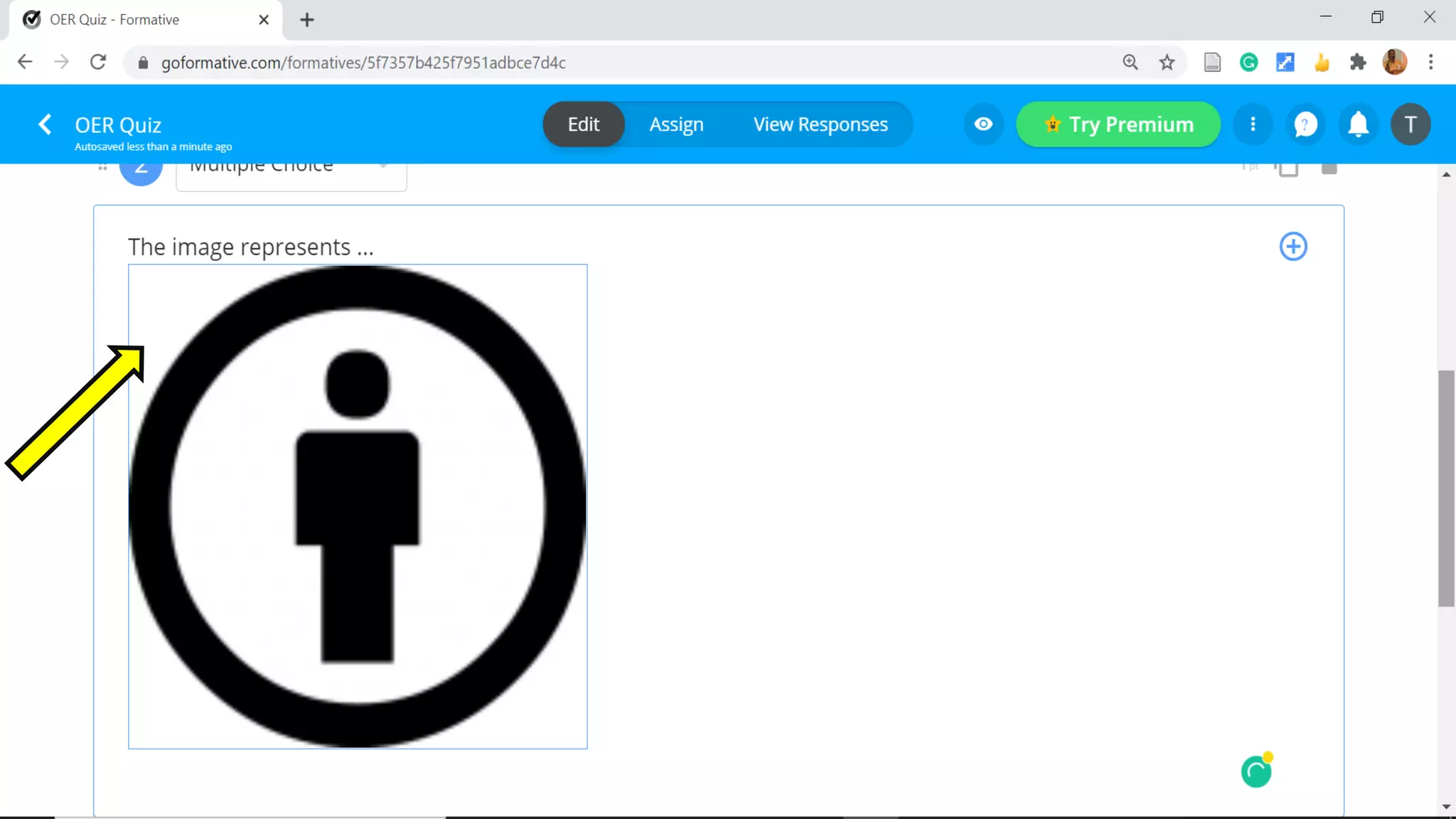 Go formative (Assessment Tool) | PDF