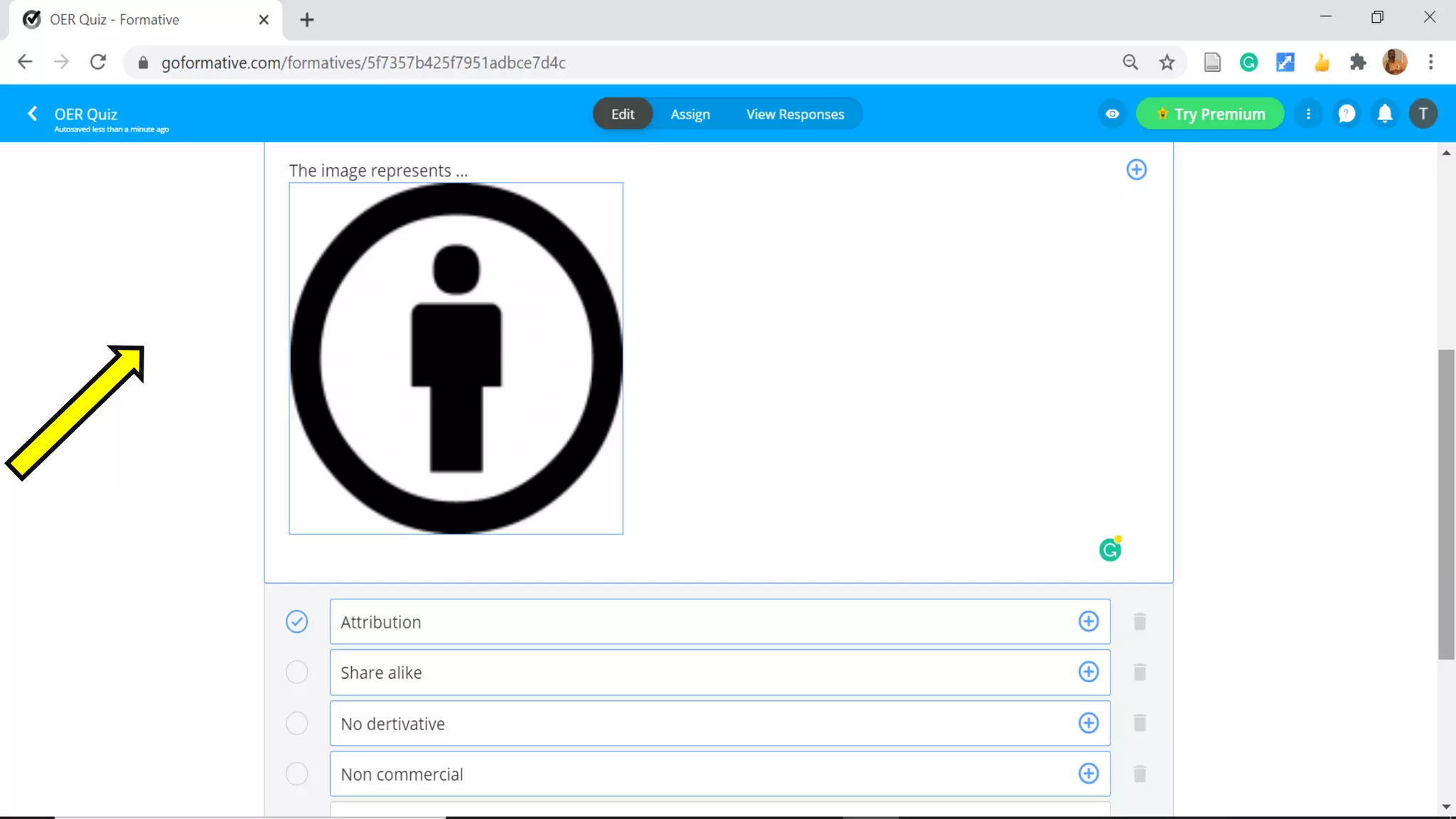 Go formative (Assessment Tool) | PDF