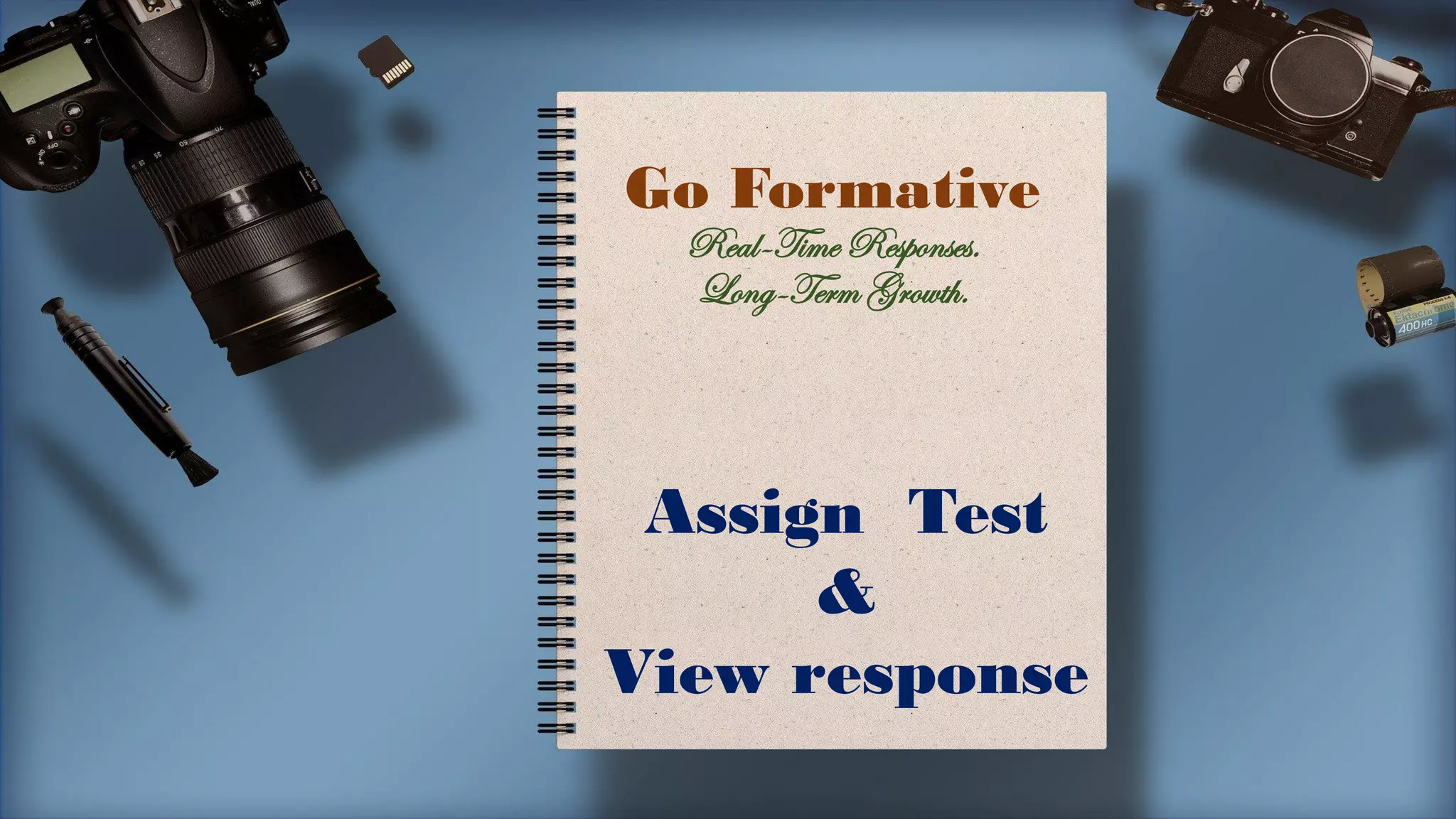 Go formative (Assessment Tool) | PDF