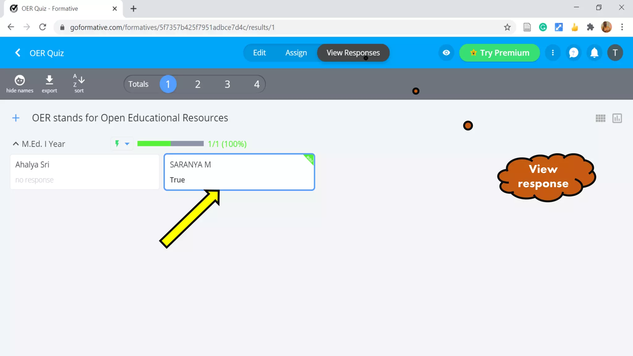 Go formative (Assessment Tool) | PDF