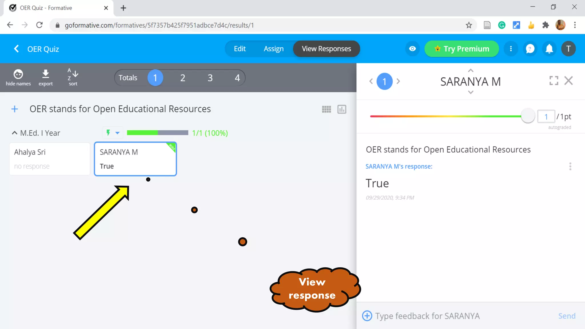 Go formative (Assessment Tool) | PDF
