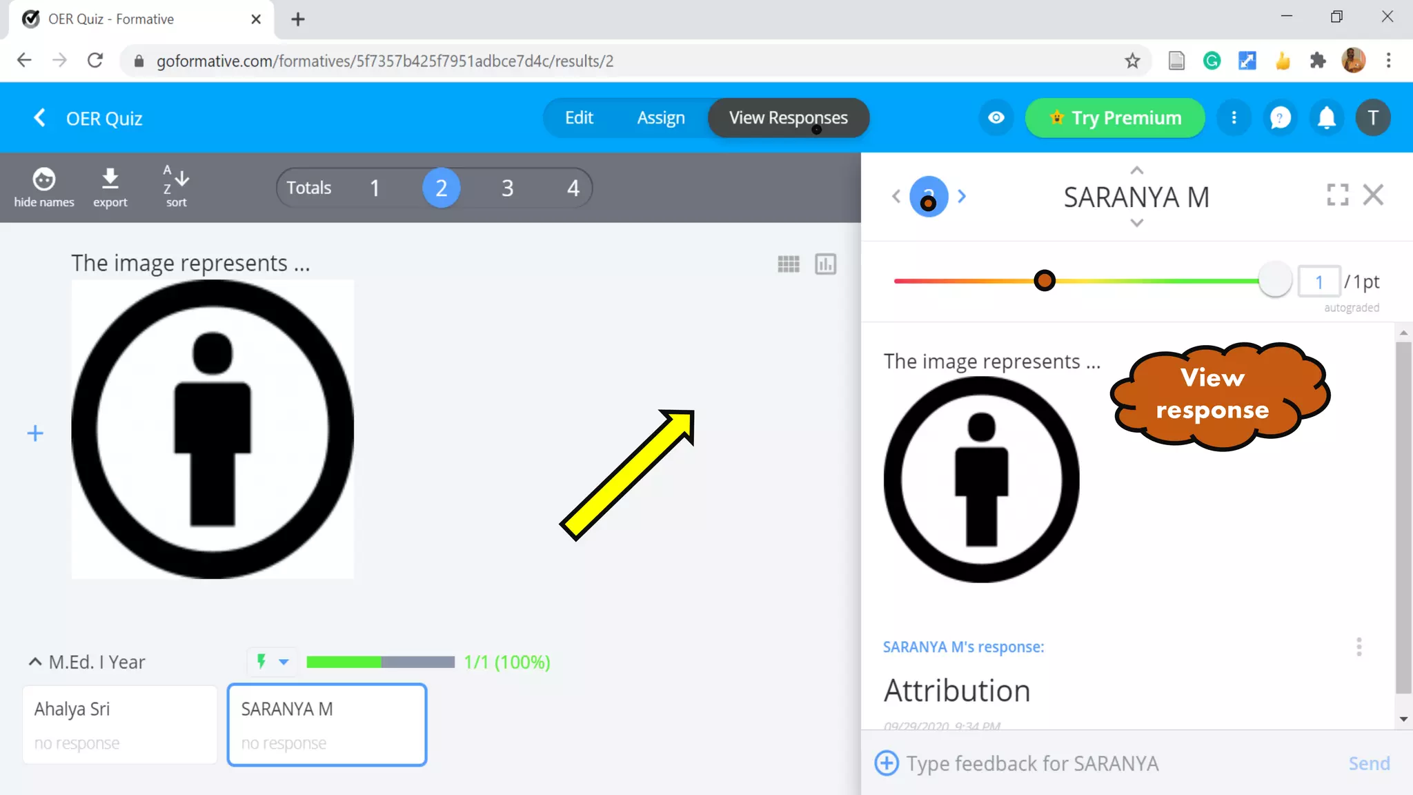 Go formative (Assessment Tool) | PDF