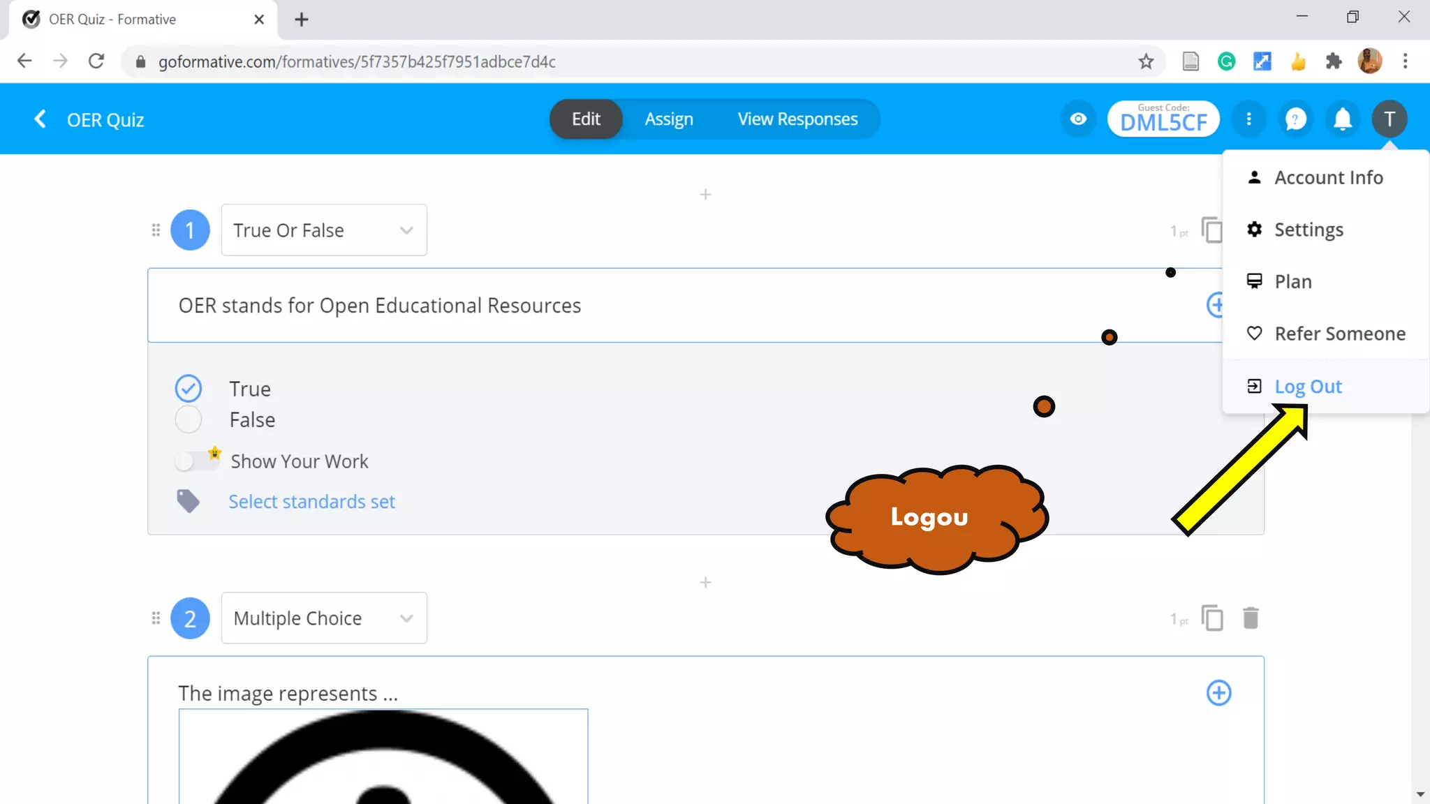 Go formative (Assessment Tool) | PDF