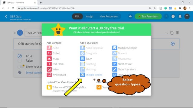 Go formative (Assessment Tool) | PDF