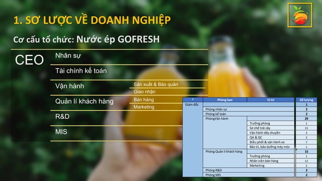 StrategicPlan, quản trị chiến lược case study Gofresh | PPT