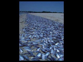 Go green short slide | PPT